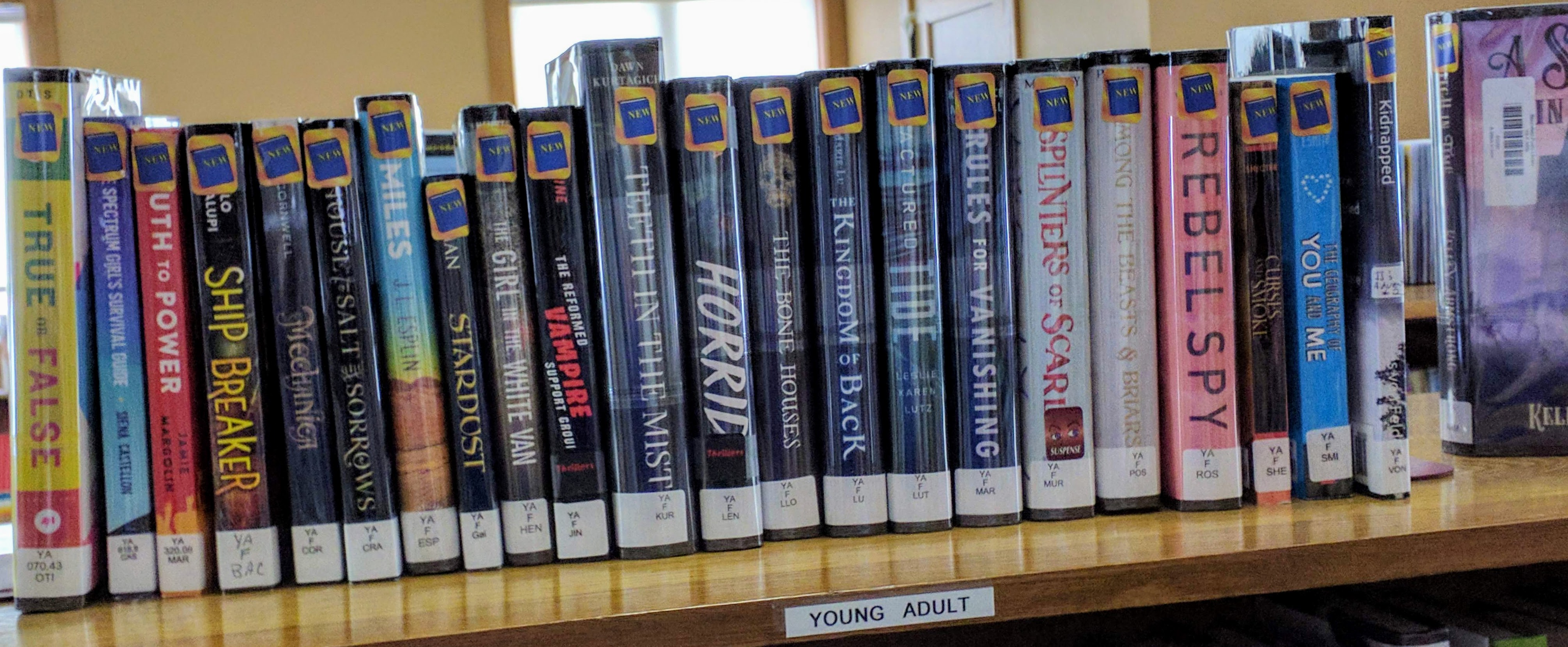 Bloomfield Public Library :: Bloomfield Public Library